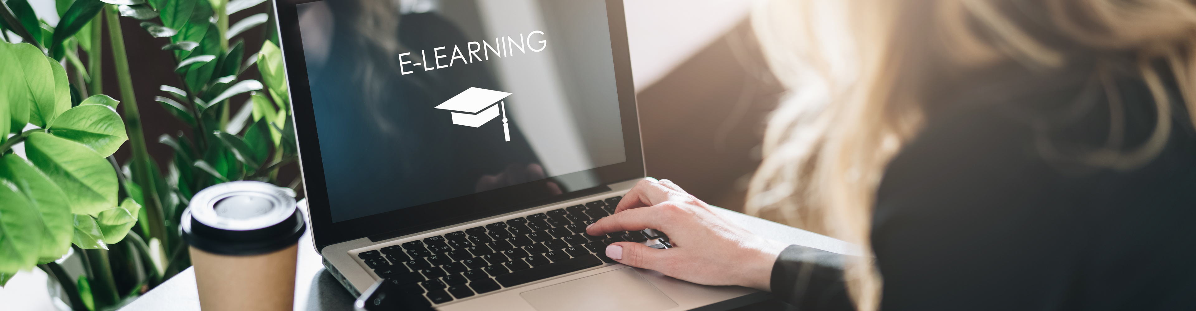 Food Hygiene and Health & Safety eLearning - Food Alert