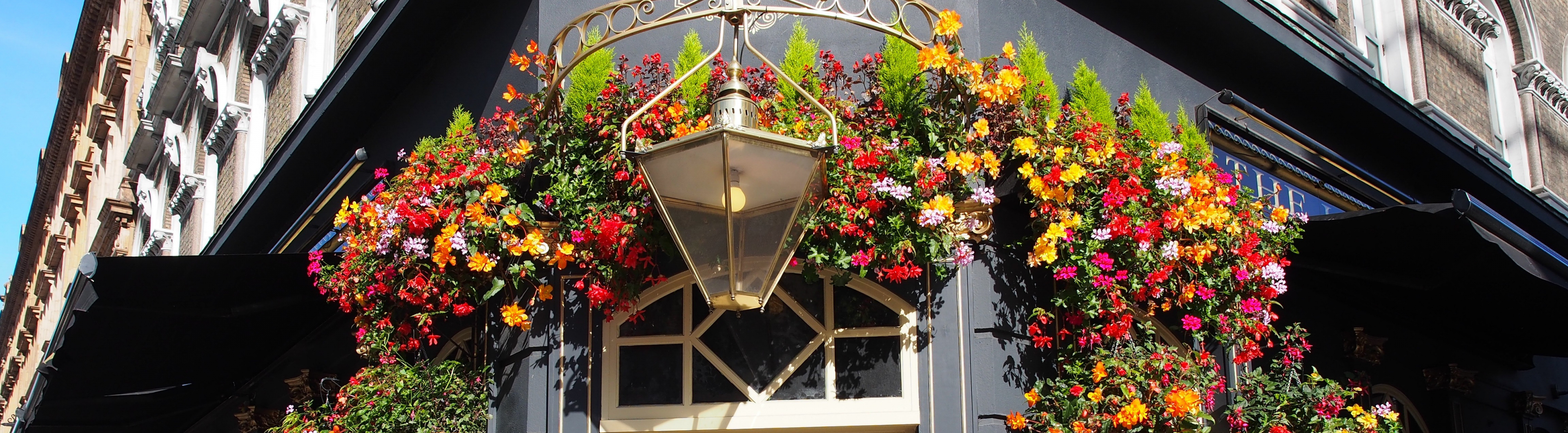 Multisite - Food Alert